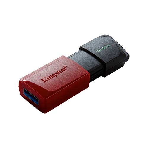 MEMORY CARD FLASH DISK 128GB KINGSTONE (DTXM/128GB) | MDP - IT and ...