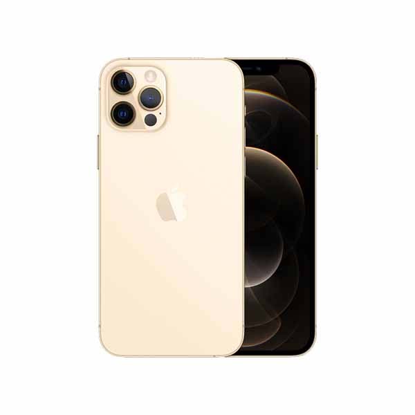 SMARTPHONE APPLE IPHONE 12 PRO 256GB GOLD (MGMR3ID/A) | MDP - IT and ...